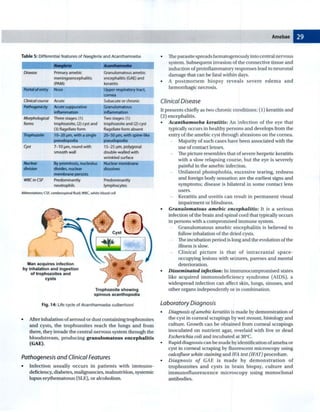 Paniker medical parasitology 8e | PDF