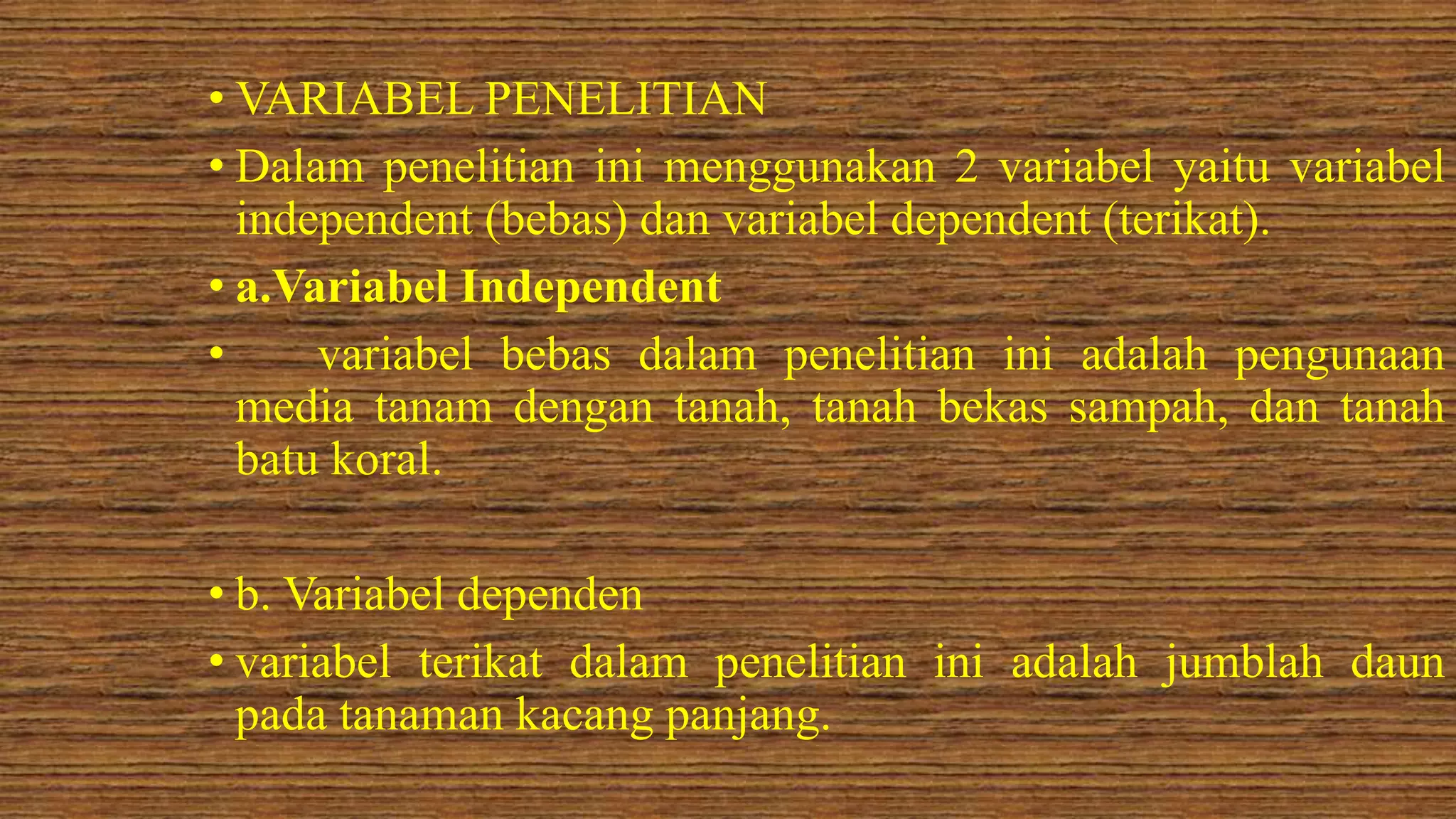 Panjang akar kacang panjang dengan media tanam yang berbeda | PPT
