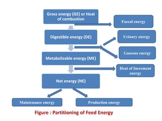 Measures of Feed Energy- Gross Energy, Digestible Energy, Metabolisable ...