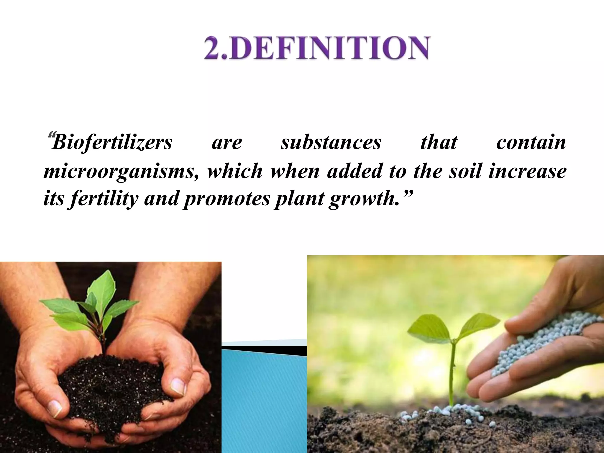 Biofertilizers | PPTX