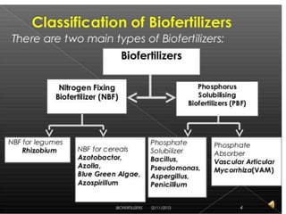 Biofertilizers | PPTX
