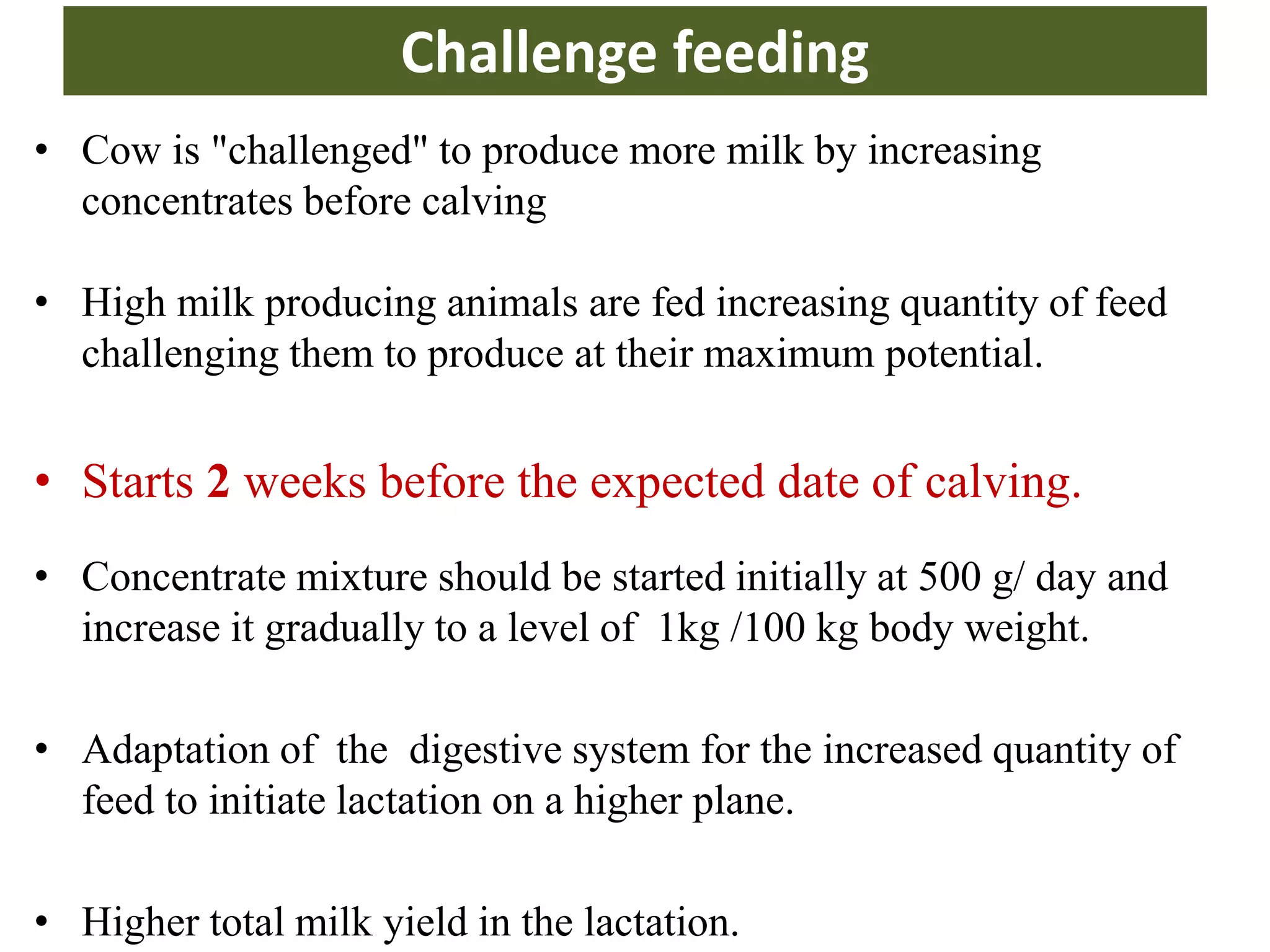 Feeding of high yielder dairy cows | PPTX