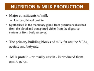 Feeding of high yielder dairy cows | PPTX