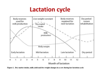 Feeding of high yielder dairy cows | PPTX