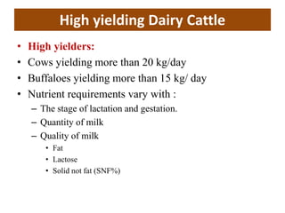 Feeding of high yielder dairy cows | PPTX