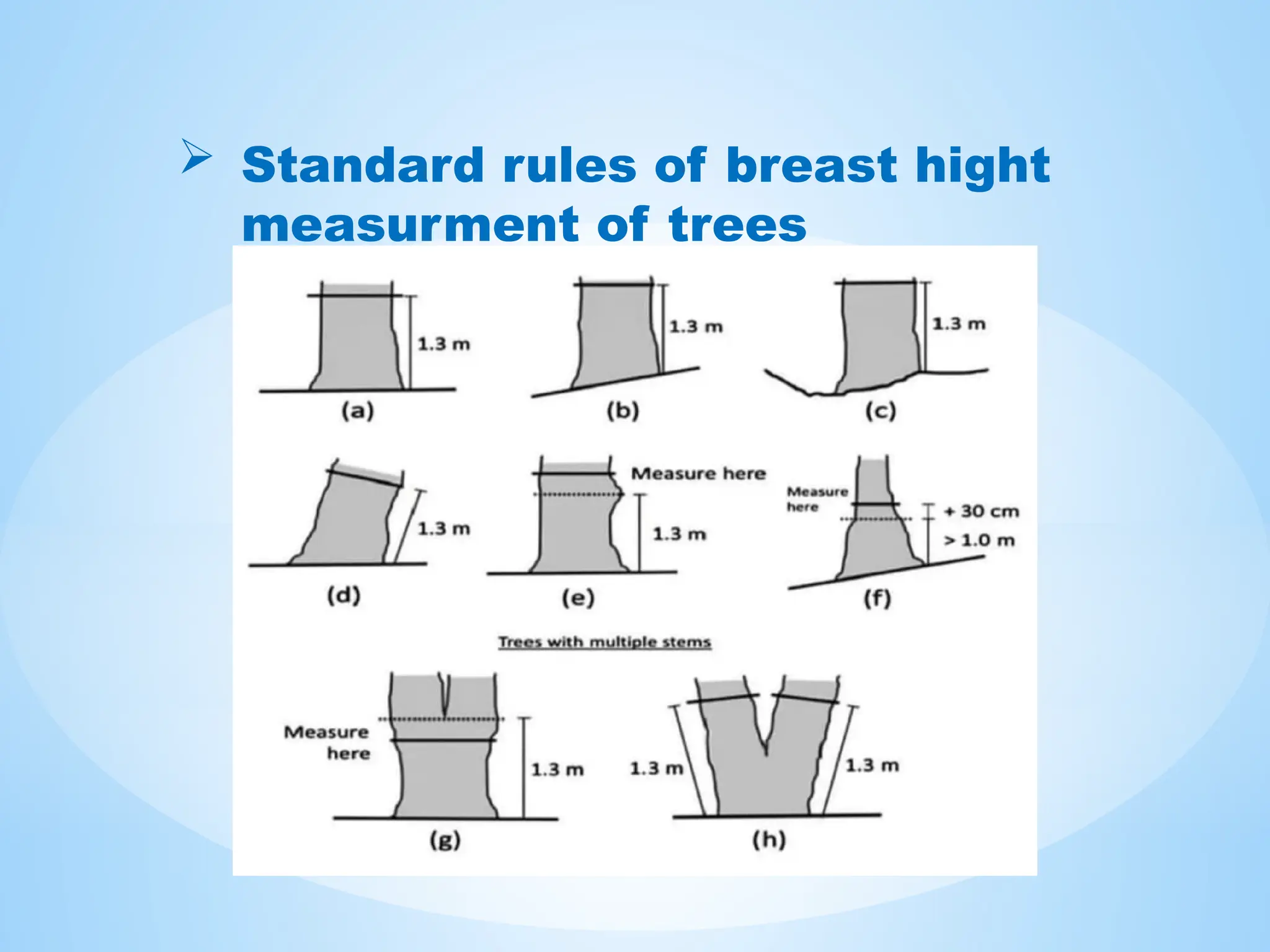 measurement of forest tree crop presentation ppt.pptx