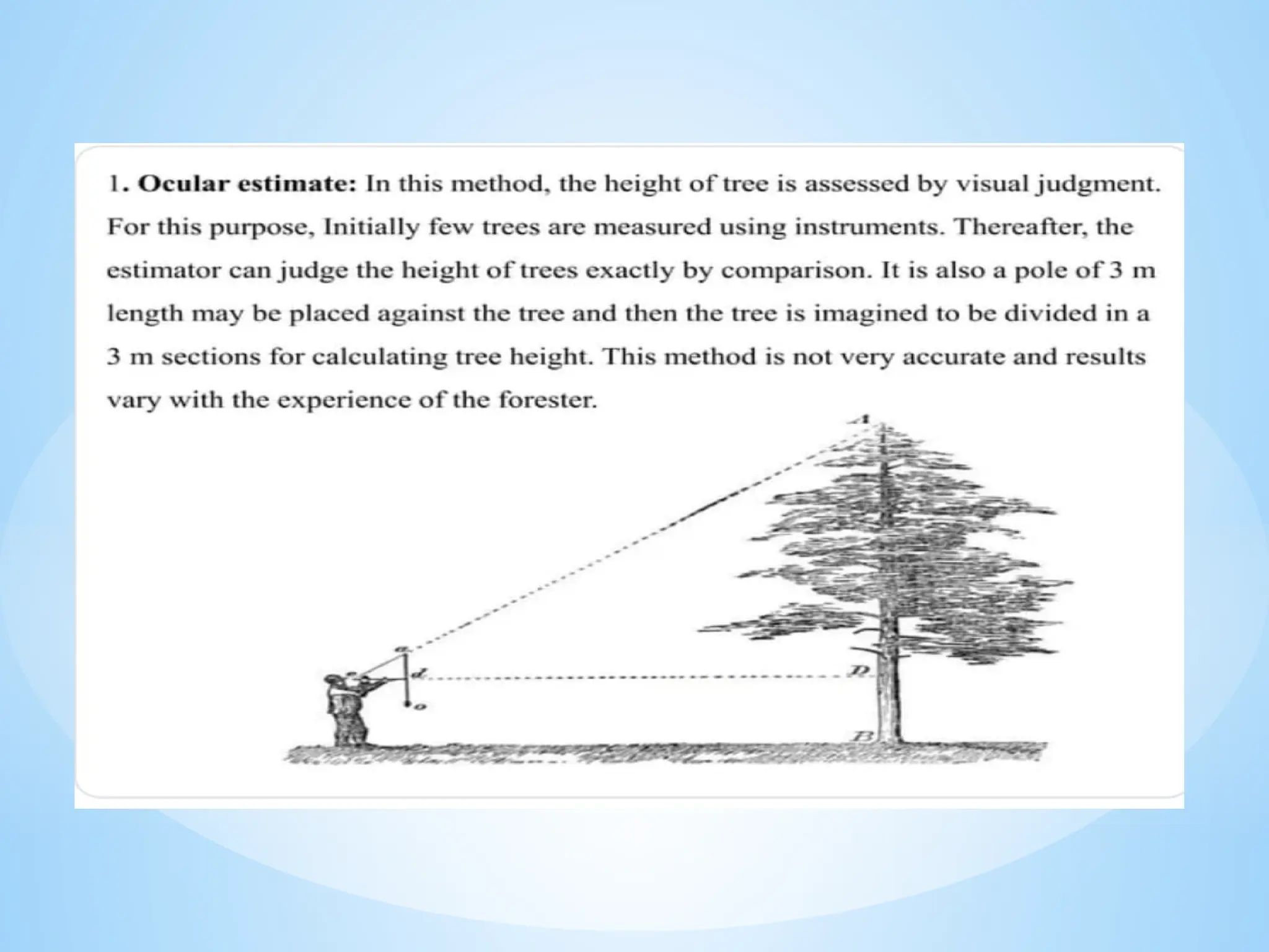 measurement of forest tree crop presentation ppt.pptx
