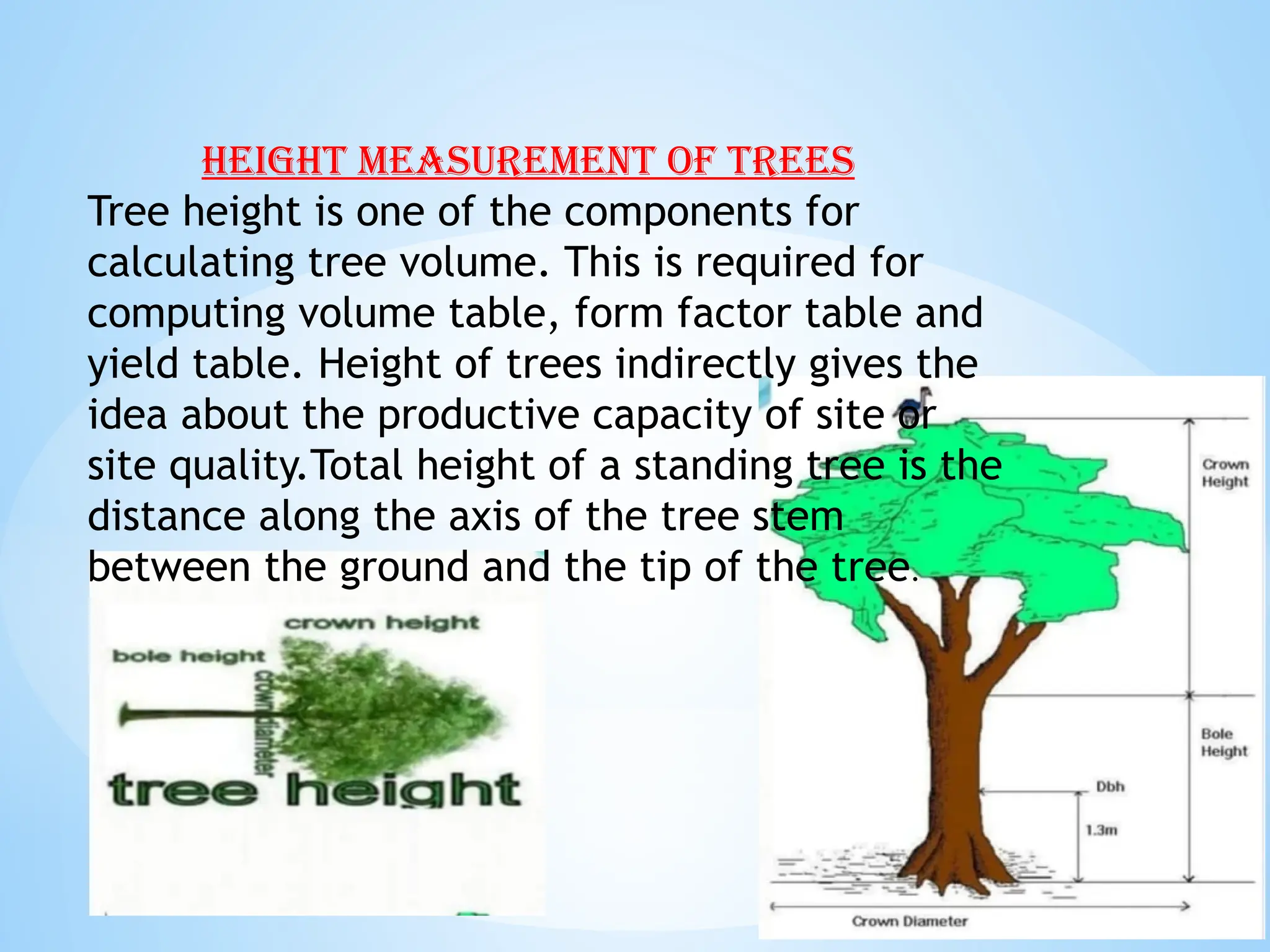 measurement of forest tree crop presentation ppt.pptx