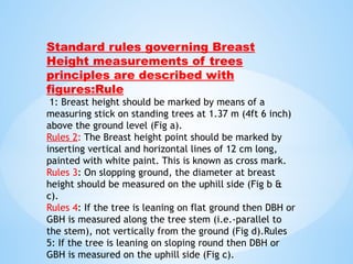 measurement of forest tree crop presentation ppt.pptx