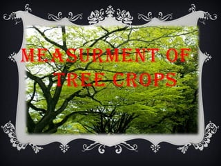 measurement of forest tree crop presentation ppt.pptx