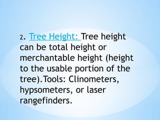 measurement of forest tree crop presentation ppt.pptx