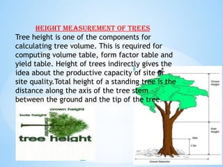 measurement of forest tree crop presentation ppt.pptx