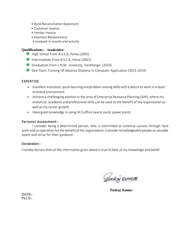 Pankaj kumar cv copy | DOCX | Credit Cards | Personal Debt