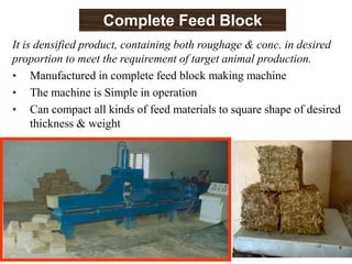 Recent Developments in Feeds and Feeding Practices | PPTX