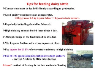 Recent Developments in Feeds and Feeding Practices | PPTX