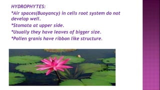 ppt botany | PPT