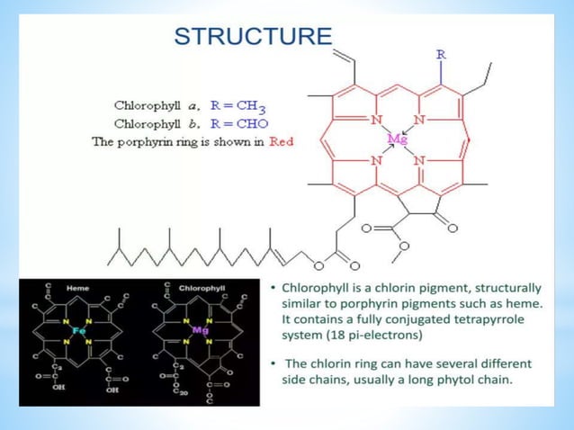 Introduction about Structure of Chlorophyll and Hemolobin | PPT