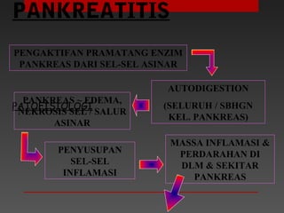 PANKREATITIS | PPT