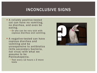 Panleukopenia and calicivirus | PPT