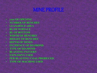 DIAMOND MINING PROJECT, PANNA(M.P.) | PPTX