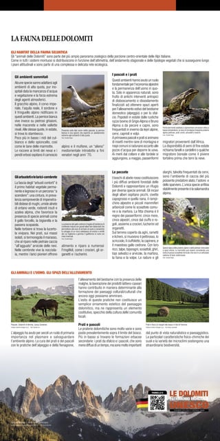 DOLOMITI UNESCO ITA pdf | PDF | Geology | Science