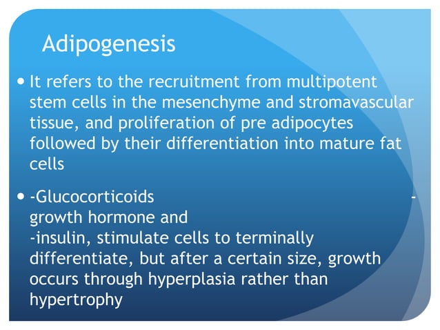 Panniculus (adipose/fat tissue) | PPT