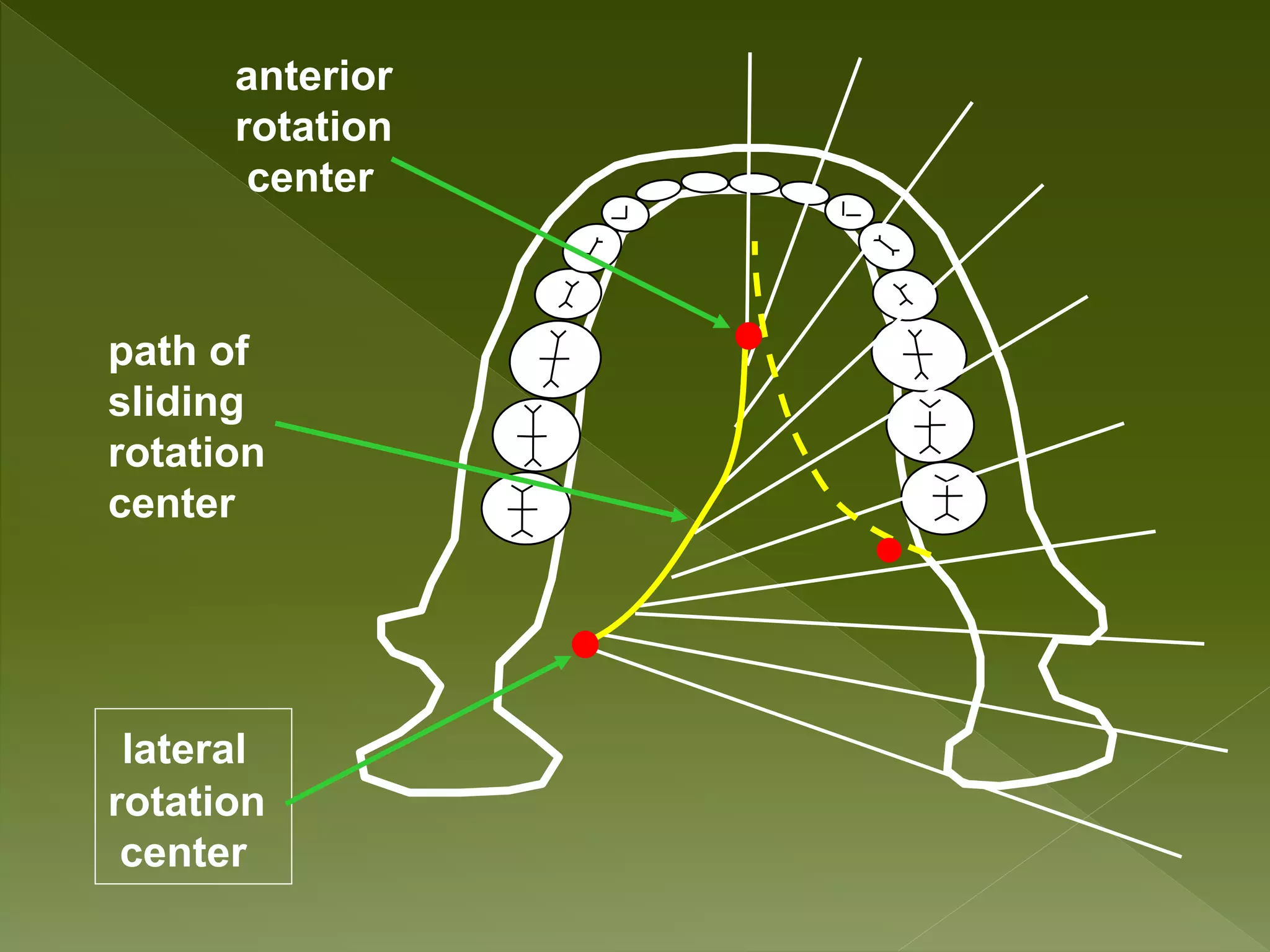 Panoramic radiography | PPTX