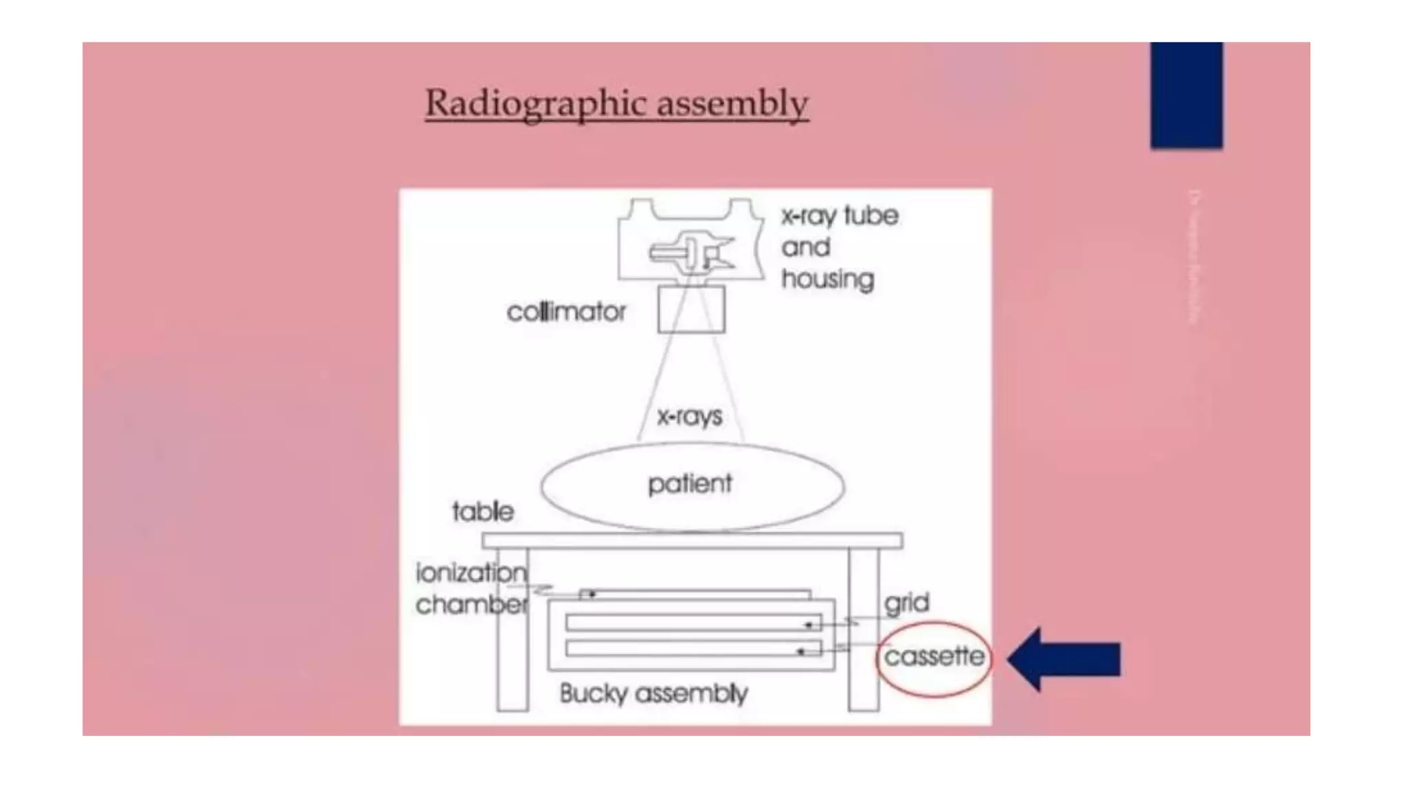 Panoramic Radiography.pptx