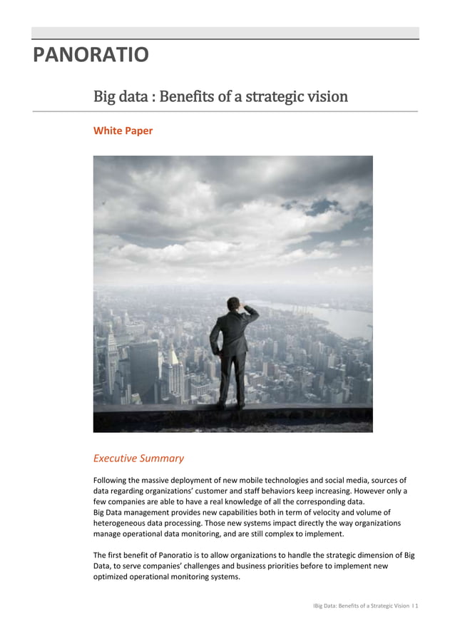 Big Data white paper - Benefits of a Strategic Vision | PDF