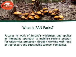 PAN Parks introduction | PPT