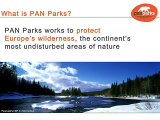 Wilderness & Wildlife Tourism | PPT