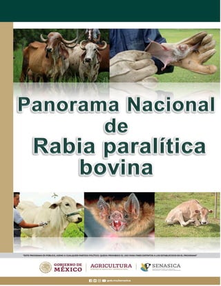 Trabajo de Rabia paralítica bovina pdf16 | PDF