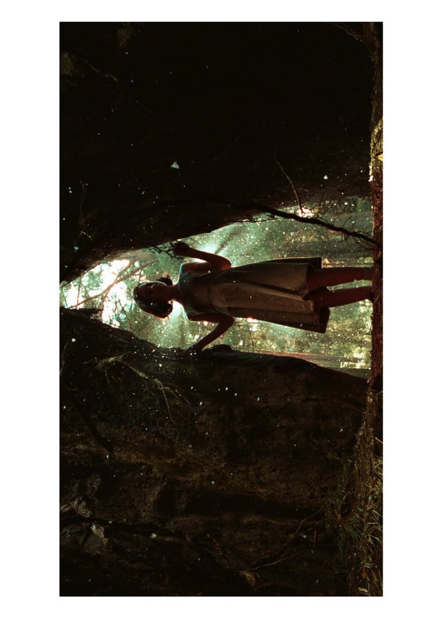 Pan's Labyrinth A-Level Film Studies student booklet e-book workbook ...