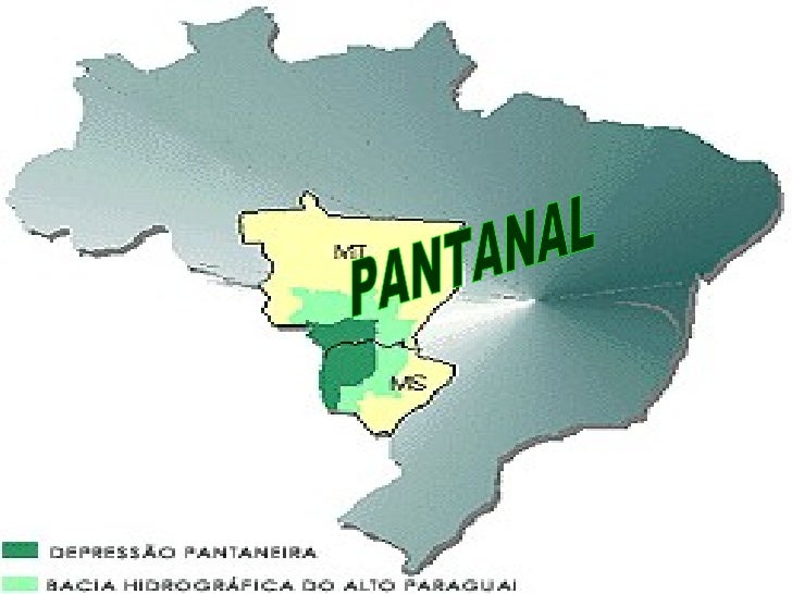 Pantanal