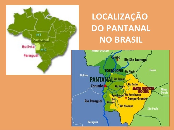Pantanal