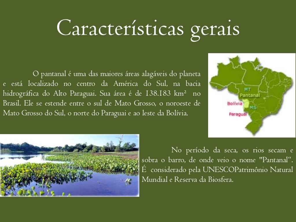 Biomas Pantanal