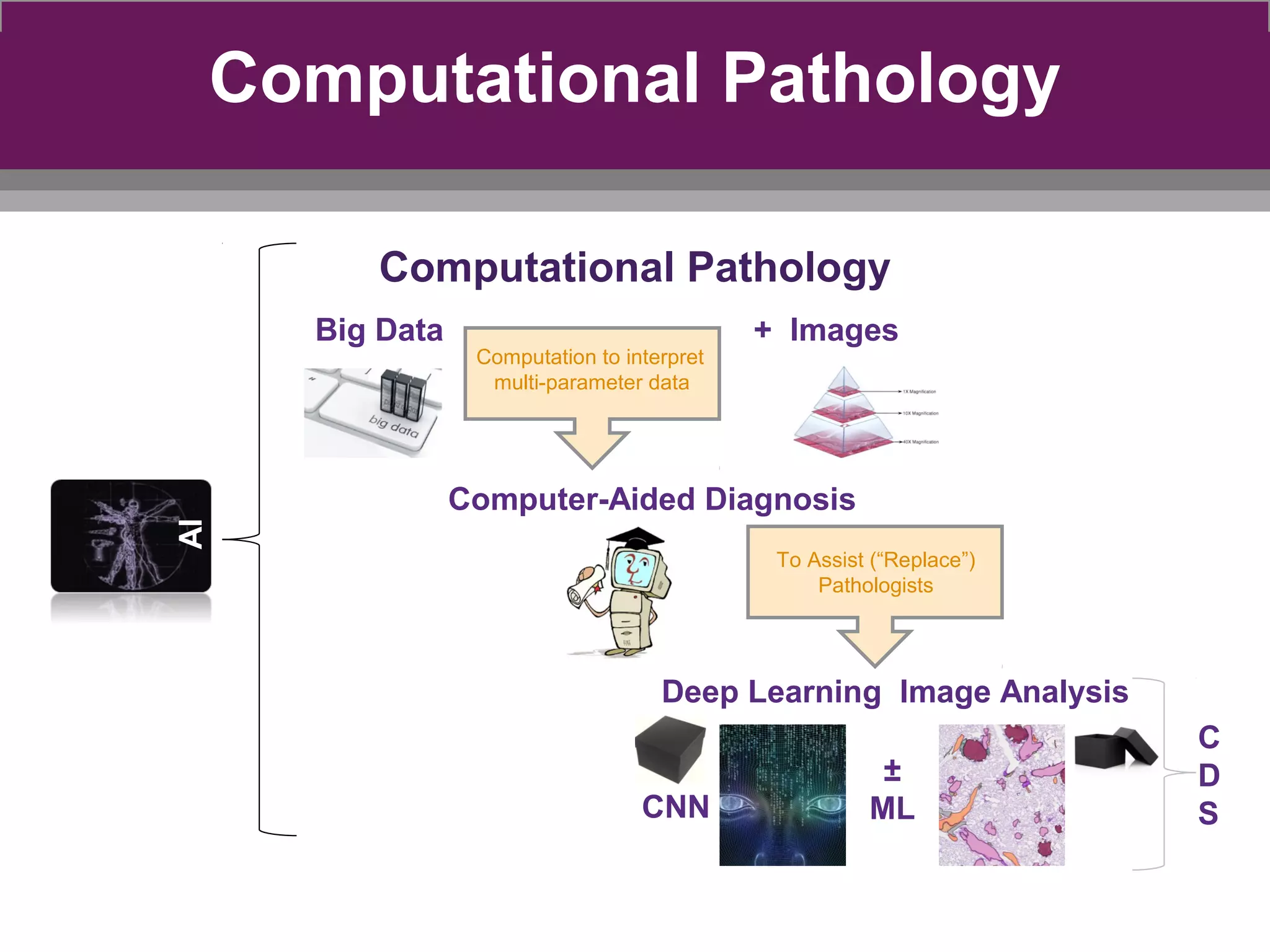 Computer Aided Diagnosis in Pathology: Pros & Cons by Dr. Liron Pantanowitz | PPT
