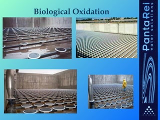 Waste Water treatment Biological method | PPT