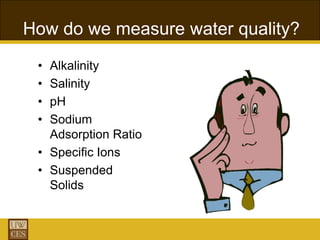 Interpreting Water Quality Reports | PPTX | Chemistry | Science