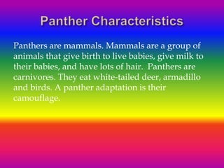 Panther | PPTX