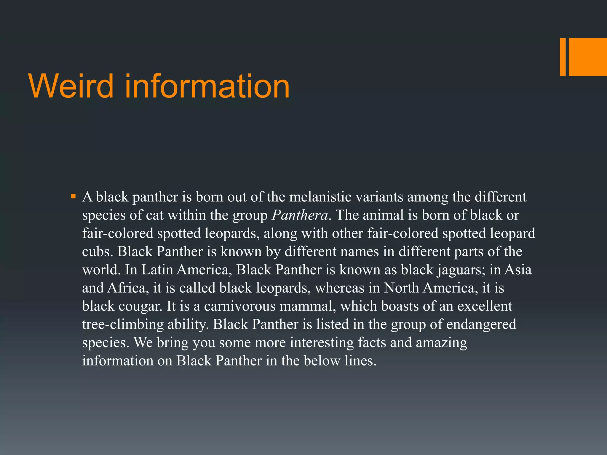 Panther | PPT