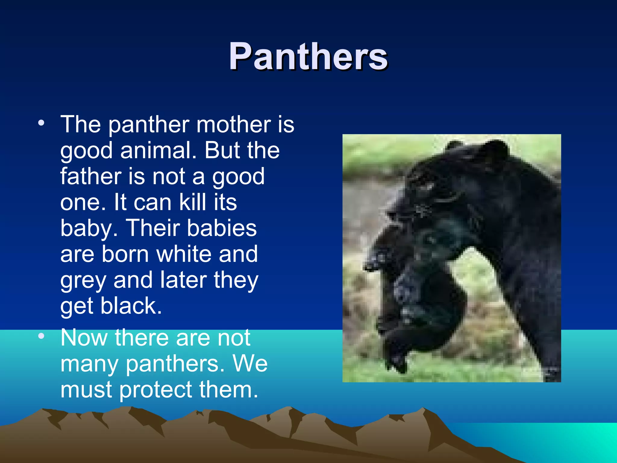 Panthers | PPT