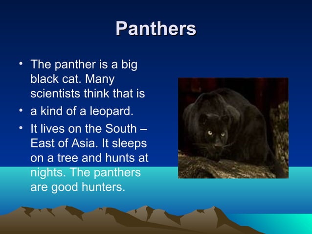 Panthers | PPT