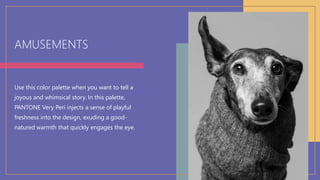 PANTONE®.pptx