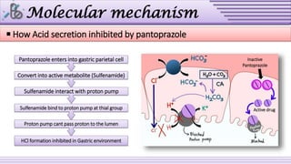 Pantoprazole | PPTX