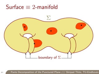Pants Decomposition of the Punctured Plane | PDF