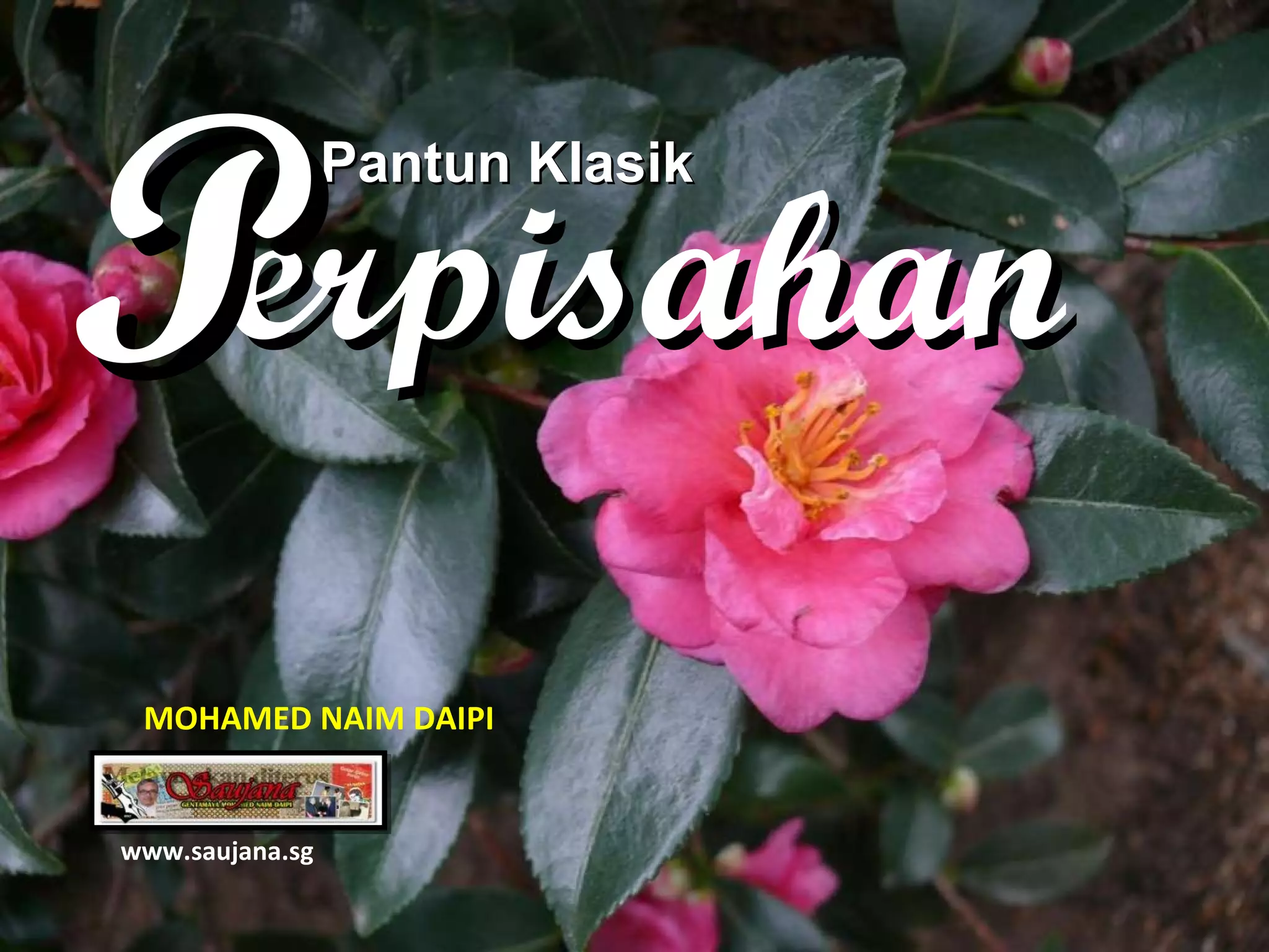 Pantun Perpisahan | PPS