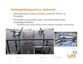 Lohiseurannat, Tietoa kantojen hoitoon ja kansalaisille, Panu Orell | PDF