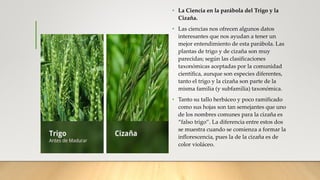 El pan y vino den la Eucaristia católico | PDF