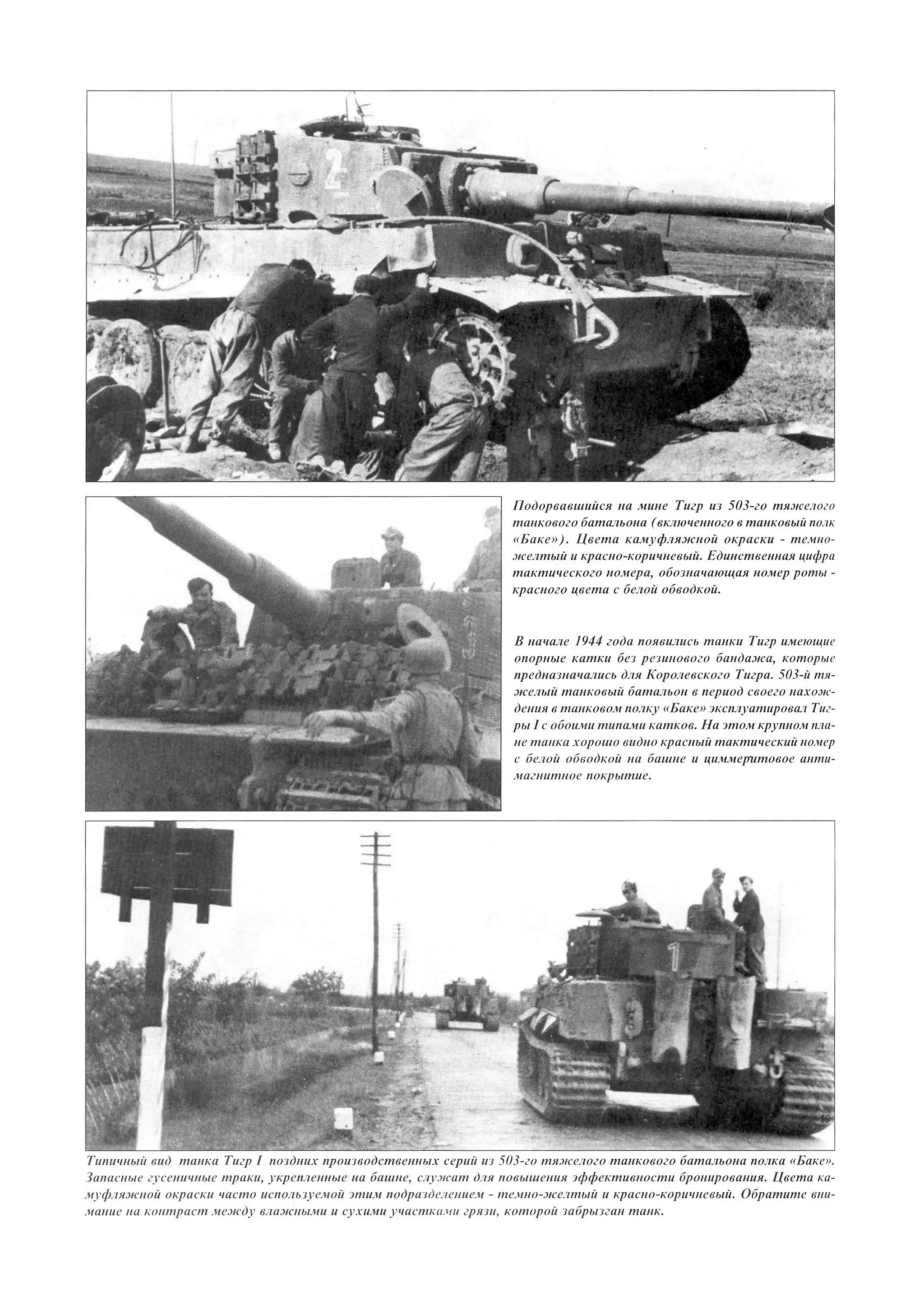Panzer color. Part 5 | PDF